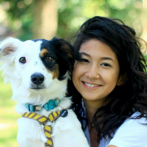 Quem Somos – Cão Inclusão